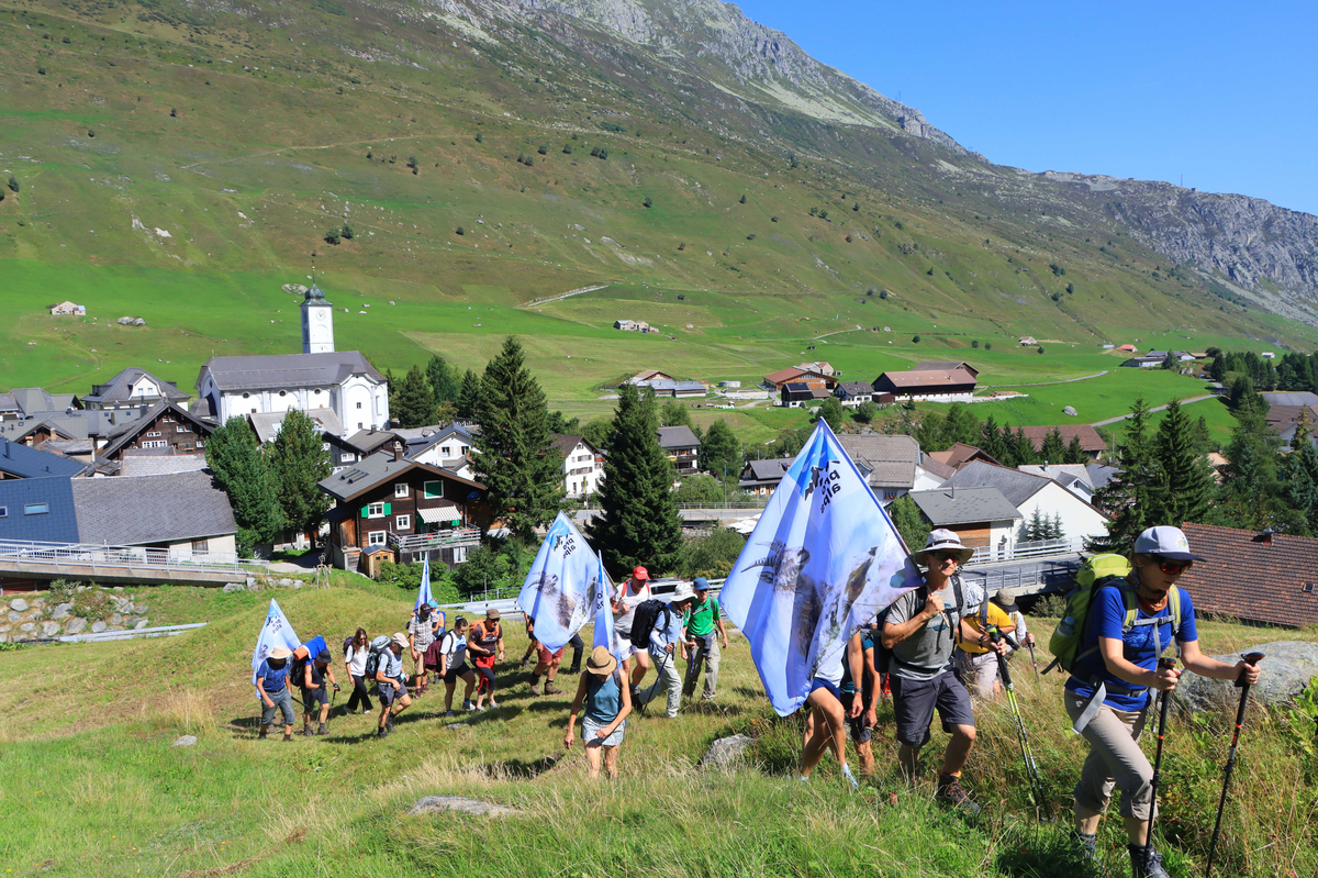 Alps in Motion: new Alpine-wide Day of Action — CIPRA - living in the alps